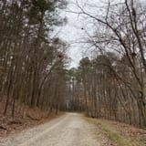 Cedar Ridge Trail Loop, North Carolina - 660 Reviews, Map | AllTrails