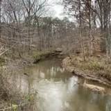 Cedar Ridge Trail Loop, North Carolina - 660 Reviews, Map | AllTrails