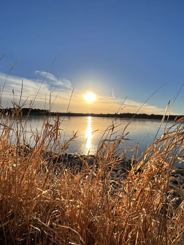 Best Hikes and Trails in Holmes Lake Park | AllTrails