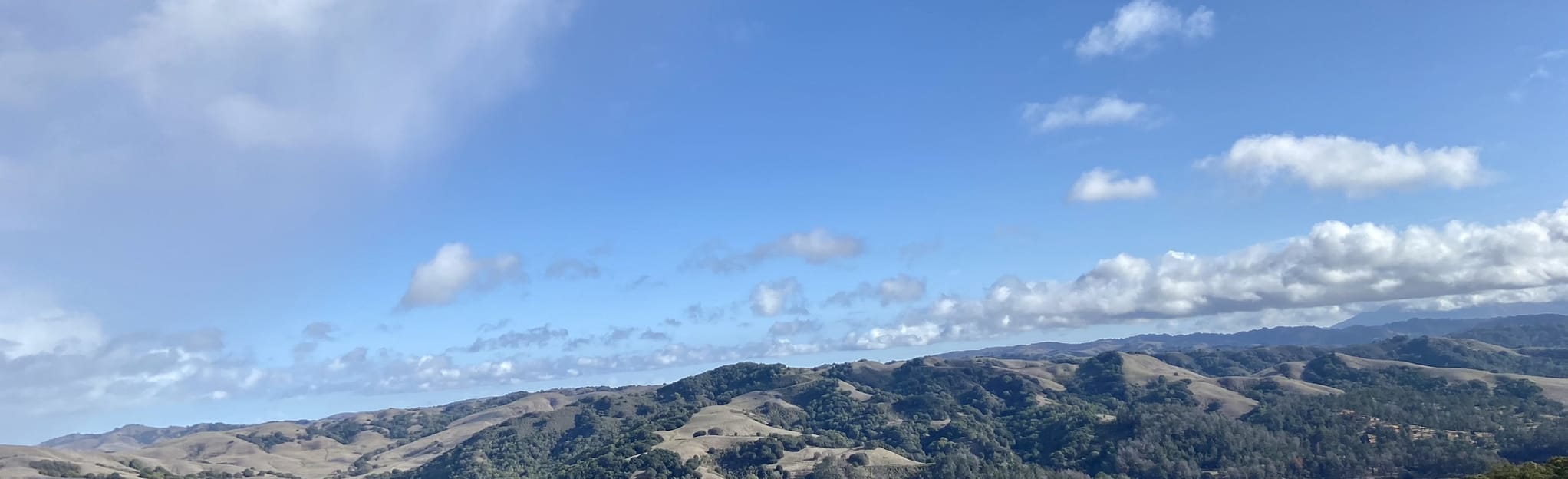 Berry Glen and Lady Bird Grove Trail , California - 356 Reviews, Map ...