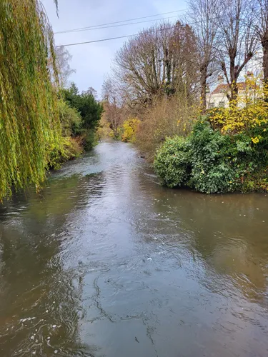 10 Best River Trails in Kent | AllTrails