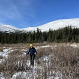 Tanglewood Trail, Colorado - 511 Reviews, Map | AllTrails