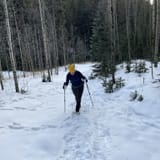 Tanglewood Trail, Colorado - 473 Reviews, Map | AllTrails