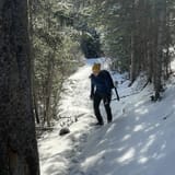 Tanglewood Trail, Colorado - 511 Reviews, Map | AllTrails