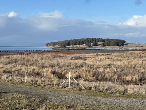 Best 10 Hikes and Trails in Point Pinole Regional Park | AllTrails