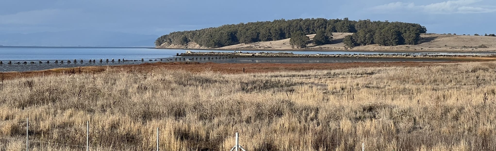 Bay Trail, Point Pinole, and Bayview Loop, California - 319 Reviews ...