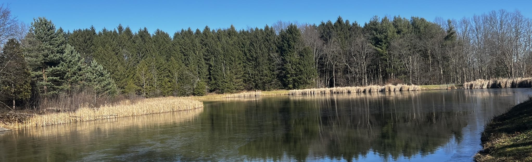 Tree Farm Trail | Map, Guide - Ohio | AllTrails