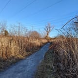 Heber Down Conservation Area Trail, Ontario, Canada - 633 Reviews, Map ...
