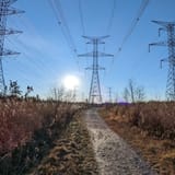 Heber Down Conservation Area Trail, Ontario, Canada - 633 Reviews, Map ...