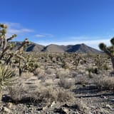 Wheeler Pass OHV Trail, Nevada - 219 Reviews, Map | AllTrails