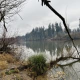 Molalla River State Park Trail, Oregon - 378 Reviews, Map | AllTrails