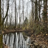 Molalla River State Park Trail, Oregon - 378 Reviews, Map | AllTrails