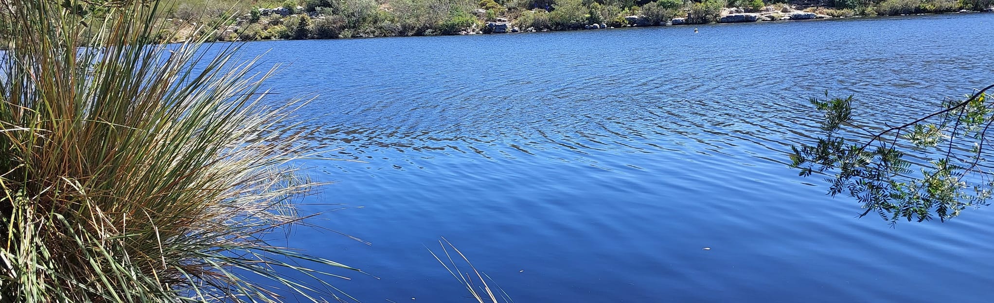 Silvermine Reservoir: 74 foto - Western Cape, South Africa | AllTrails