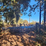 The Meadows Slough Trail, California - 375 Reviews, Map | AllTrails