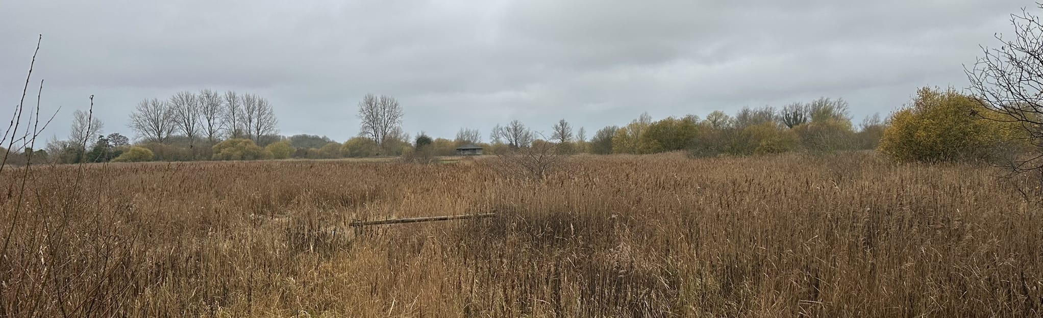 Fowlmere Nature Reserve and Watercress Beds, Hertfordshire, England ...