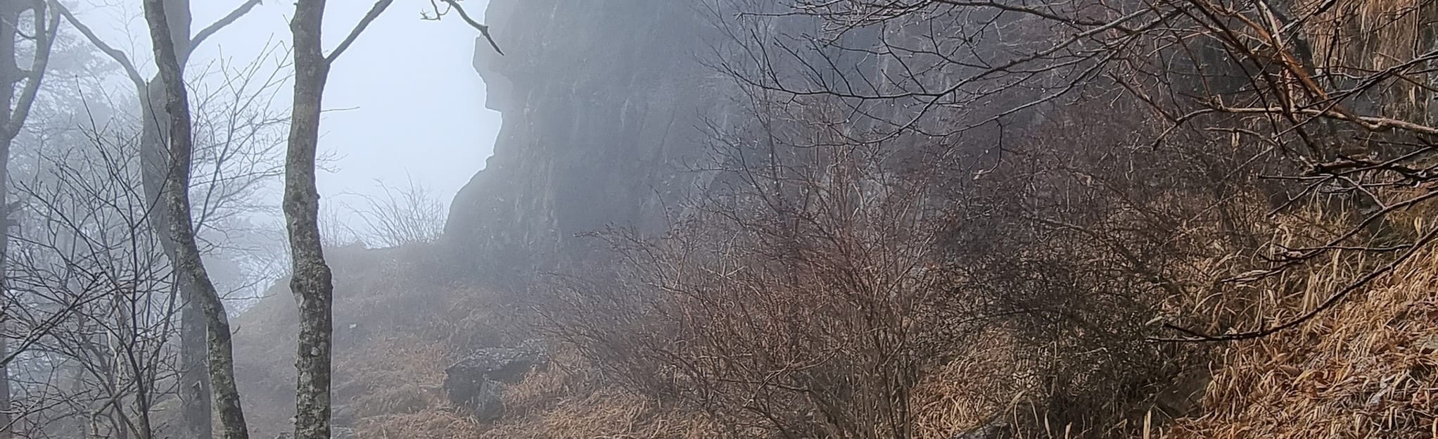 Sasago - Mount Seihachi - Mount Mitsutoge: 0 Reviews, Map - Yamanashi, Japan | AllTrails