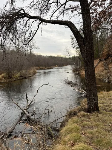 2023 Best Forest Trails in Trego | AllTrails