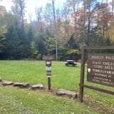 Tioga West Rim Trail, Pennsylvania - 522 Reviews, Map | AllTrails