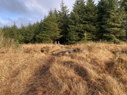 Best Walking Trails in Caher | AllTrails