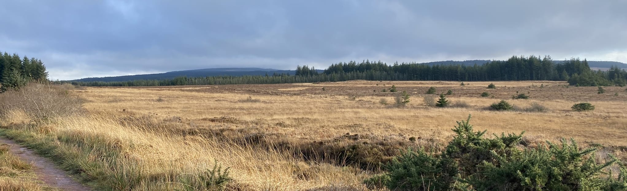 Knockjames Loop, County Clare, Ireland - 8 Reviews, Map | AllTrails