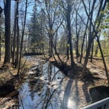 Lenape Park, Pennsylvania - 289 Reviews, Map | AllTrails