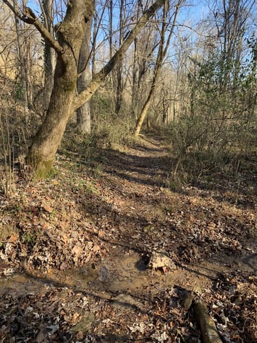 Best 10 Hikes and Trails in Barboursville City Park | AllTrails
