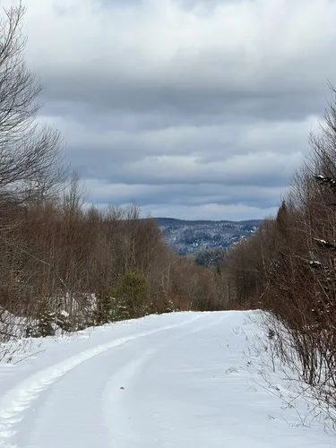 Best Hikes and Trails in Searchmont | AllTrails