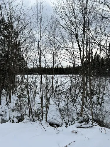 Best Hikes and Trails in Searchmont | AllTrails