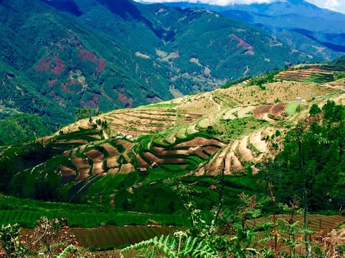 2023 Best 10 Trails and Hikes in Benguet | AllTrails