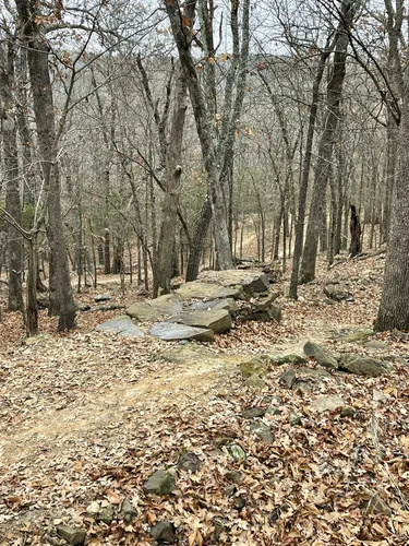 10 Best Trails and Hikes in Fayetteville | AllTrails