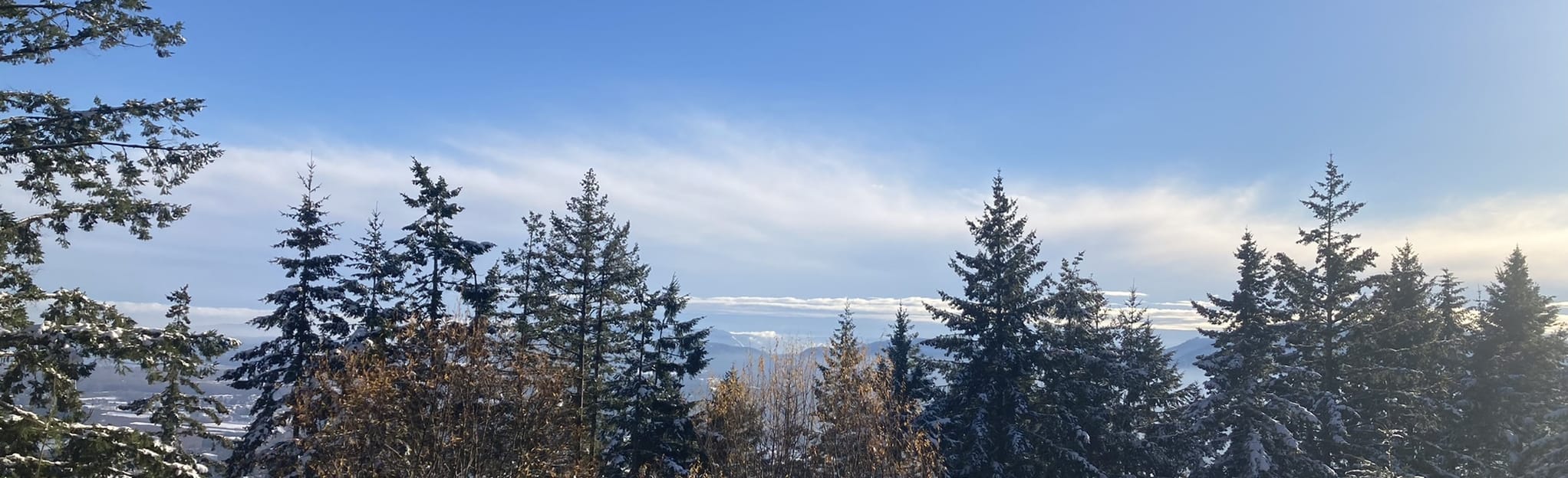 Mount Prevost via Prevost Road: 61 Reviews, Map - British Columbia ...