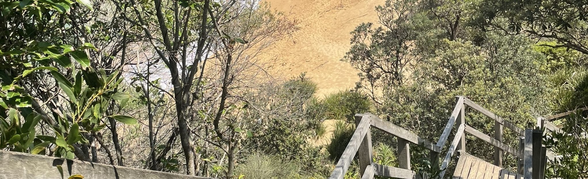 Tessellated Pavement from Putty Beach Camping Area: 56 Reviews, Map ...