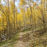 The Collegiate Loop, Colorado - 83 Reviews, Map | AllTrails