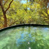 Sespe River Trail to Willett Hot Springs, California - 673 Reviews, Map ...