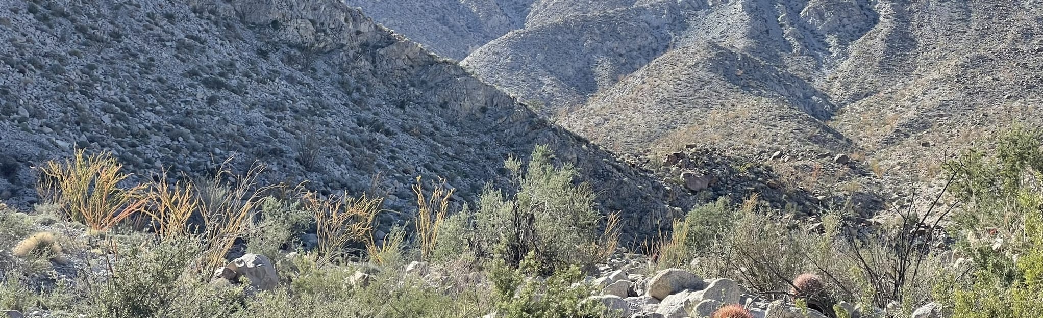 Harper Canyon Loop: 18 Reviews, Map - California | AllTrails