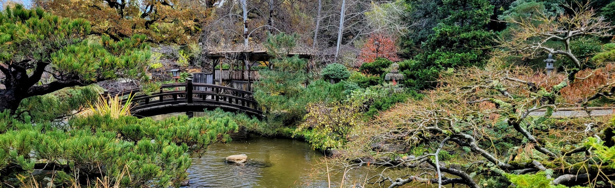 Hakone Japanese Garden, California - 32 Reviews, Map | AllTrails