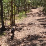 Maculata and Bardon Track, Queensland, Australia - 140 Reviews, Map ...