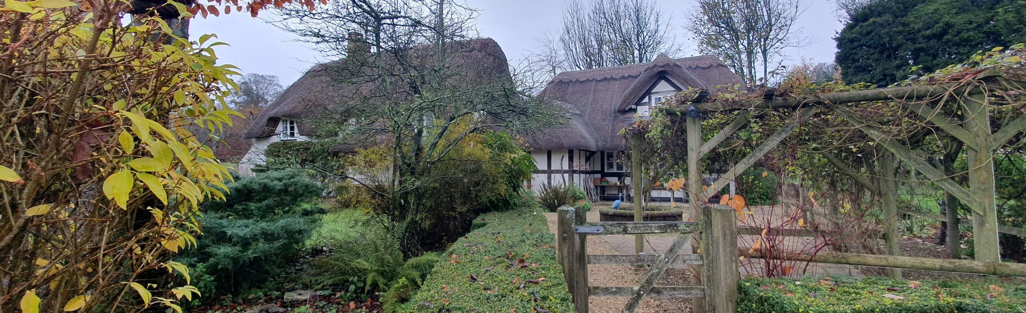 Lower Chute and Chute Forest: 15 Reviews, Map - Hampshire, England ...