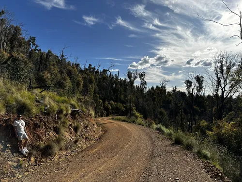 10 Best Off Road Driving Trails in Victoria | AllTrails