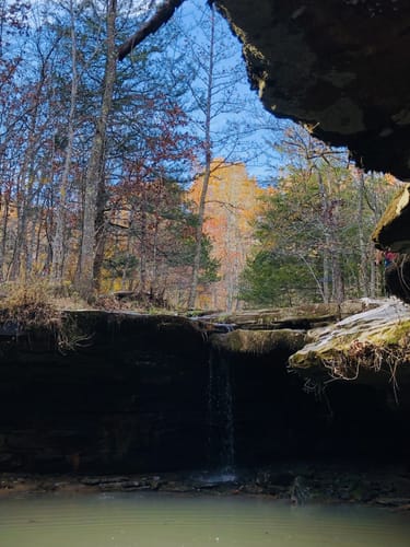 Best Hikes and Trails in Wilderness Rider Buffalo Ranch | AllTrails