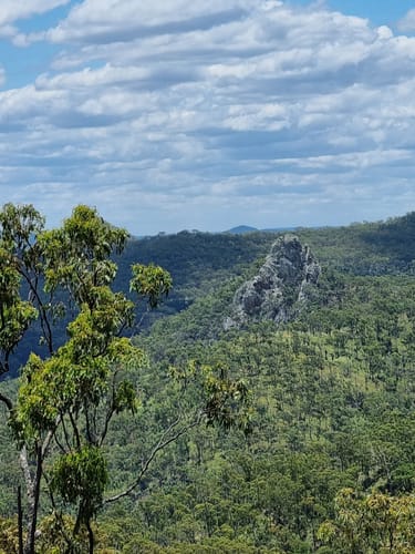 2023 Best trails in Mount Britton | AllTrails