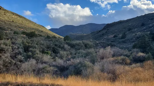 Best Off Road Driving Trails in Prescott National Forest | AllTrails