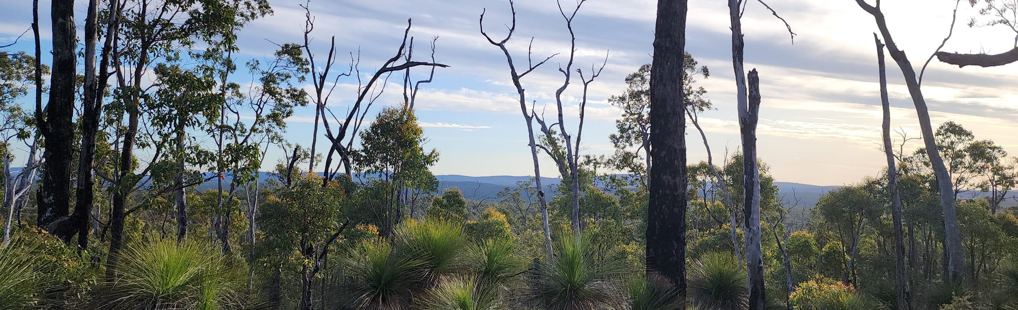 Abyssinia Rocks Loop via Bibbulmun Track: 25 Reviews, Map - Western ...