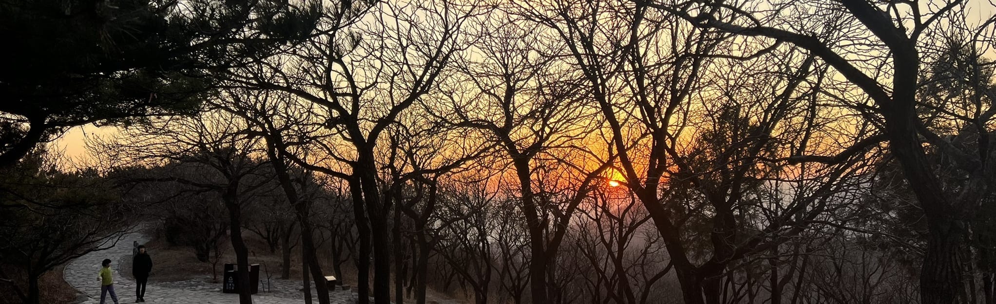 Fragant Hills Loop: 8 Reviews, Map - Beijing, China | AllTrails