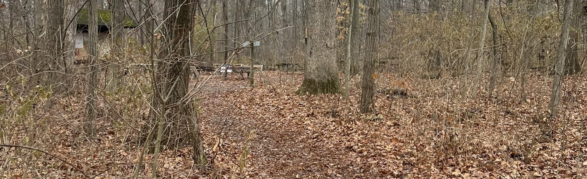 Oak Paradise Loop: 50 Reviews, Map - Indiana | AllTrails