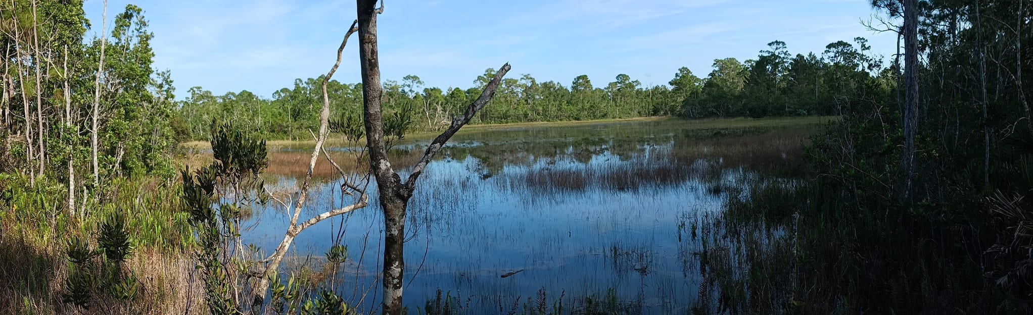Spruce Bluff South AIS Indian Mound Trail, Florida - 153 Reviews, Map ...