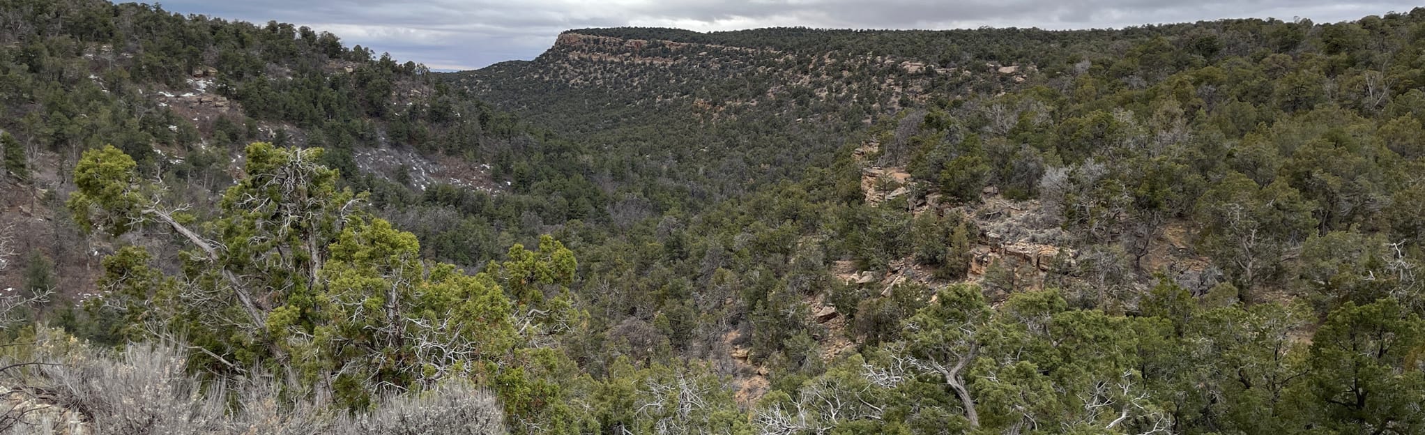 Sand Canyon Pueblo Trail, Colorado - 43 Reviews, Map | AllTrails