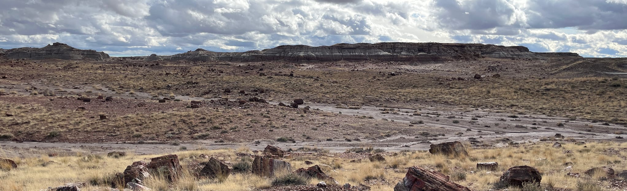 Old Jasper Forest Road, Arizona - 255 Reviews, Map | AllTrails