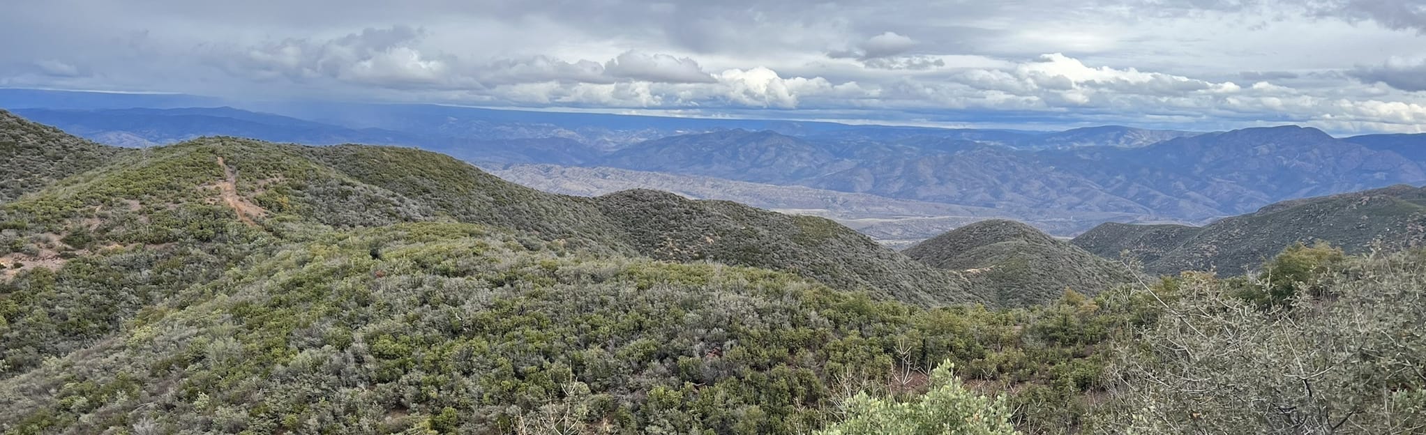 Gold Ridge Trail, Arizona - 80 Reviews, Map | AllTrails