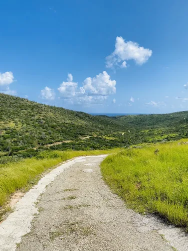 10 Best Trails and Hikes in Aruba | AllTrails